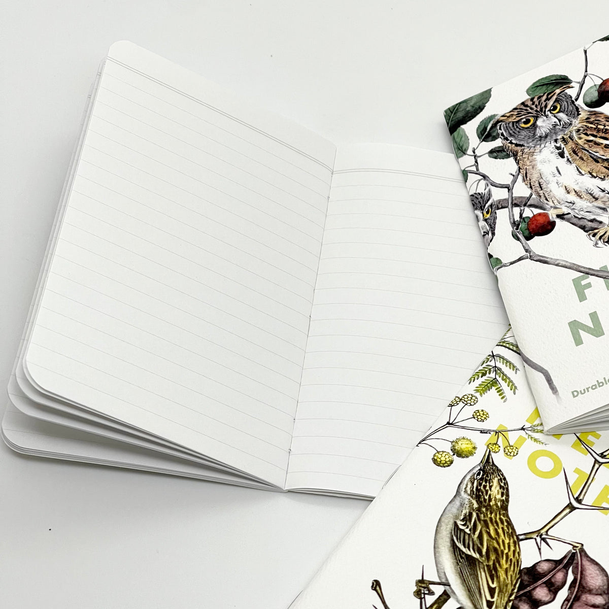 Field Notes Birds and Trees of North America Pack B Memo Book (Limited ...